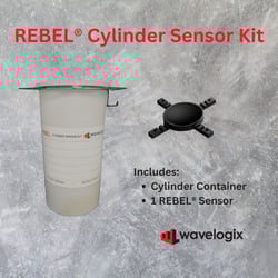 REBEL Sensor System Pricing